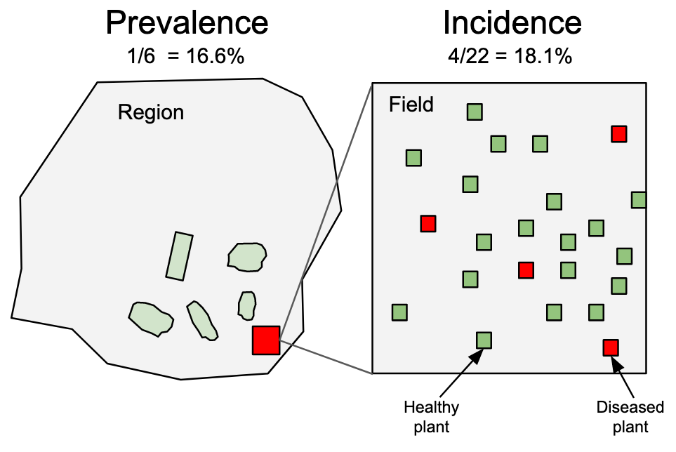 ระบาดวิทยาโรคพืช - 2 Disease variables